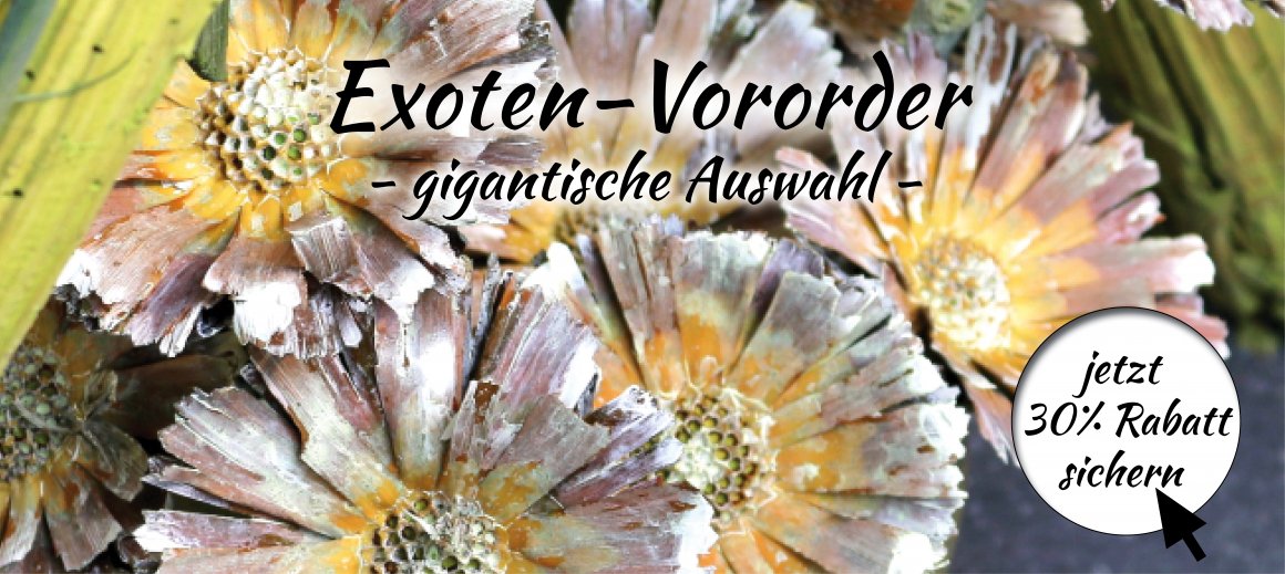 Krapp Floristik - Webshop & Großhandel für Floristenbedarf & Deko