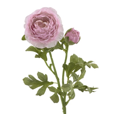 Themenwelten bei Krapp Floristik