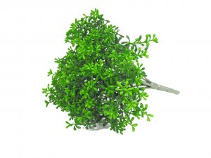 Mini-Buchs grün · 1439-78