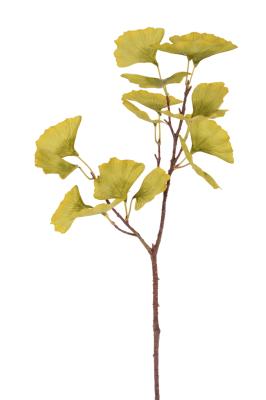 Ginko zweig x 2 - 64cm · 275866064900