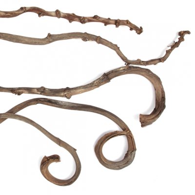 Hirtenstab natur · EF68