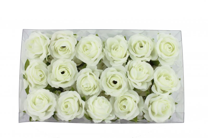 Rosen-Köpfe Lydia Box 36 St. · 14658-150
