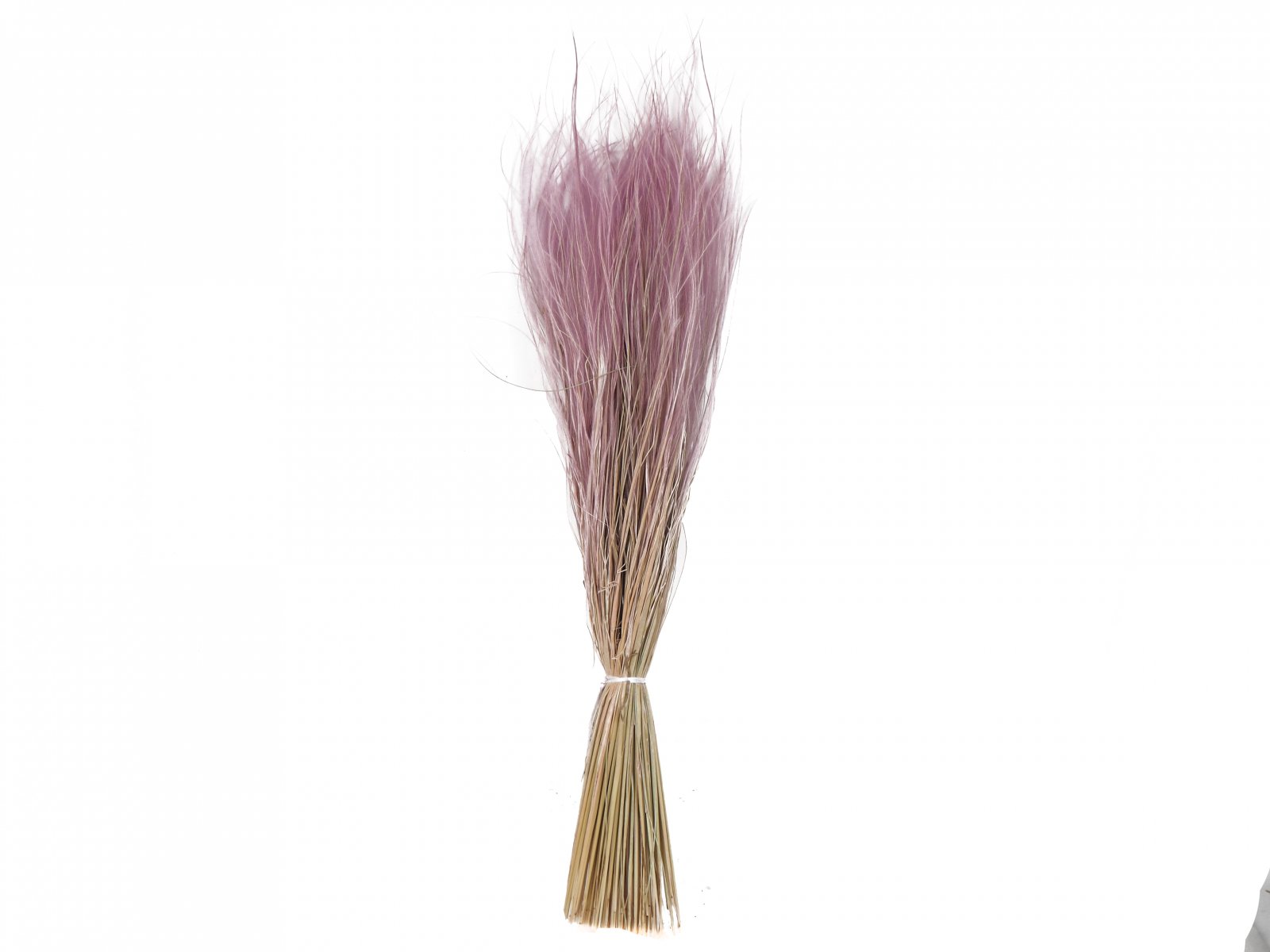 Stypa Pennata 50cm ca. 50gr. blush flieder · 95713-818