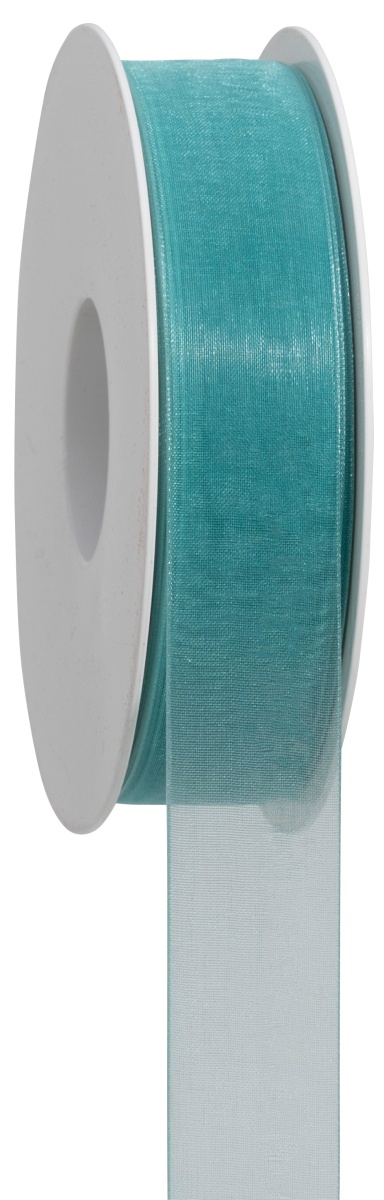 Band Beauty Organdy 25mm aqua · 96542537