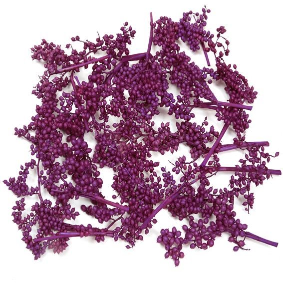 Canella extra brombeer · EF10050